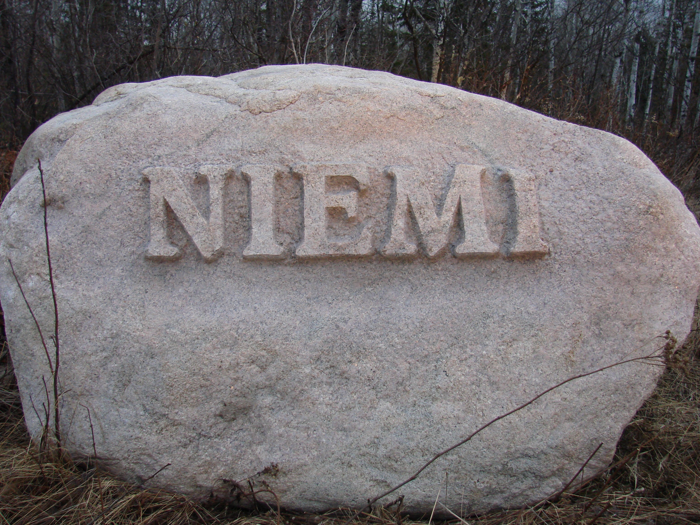 Distinctive and Bold